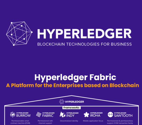 Hyperledger Fabric – A Platform for the Enterprises based on Blockchain ...